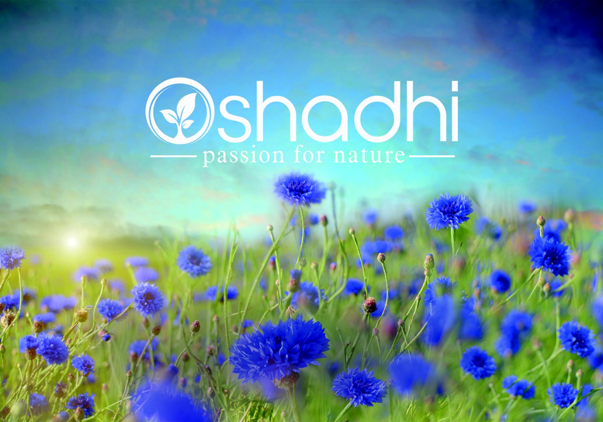 Home - Oshadhi